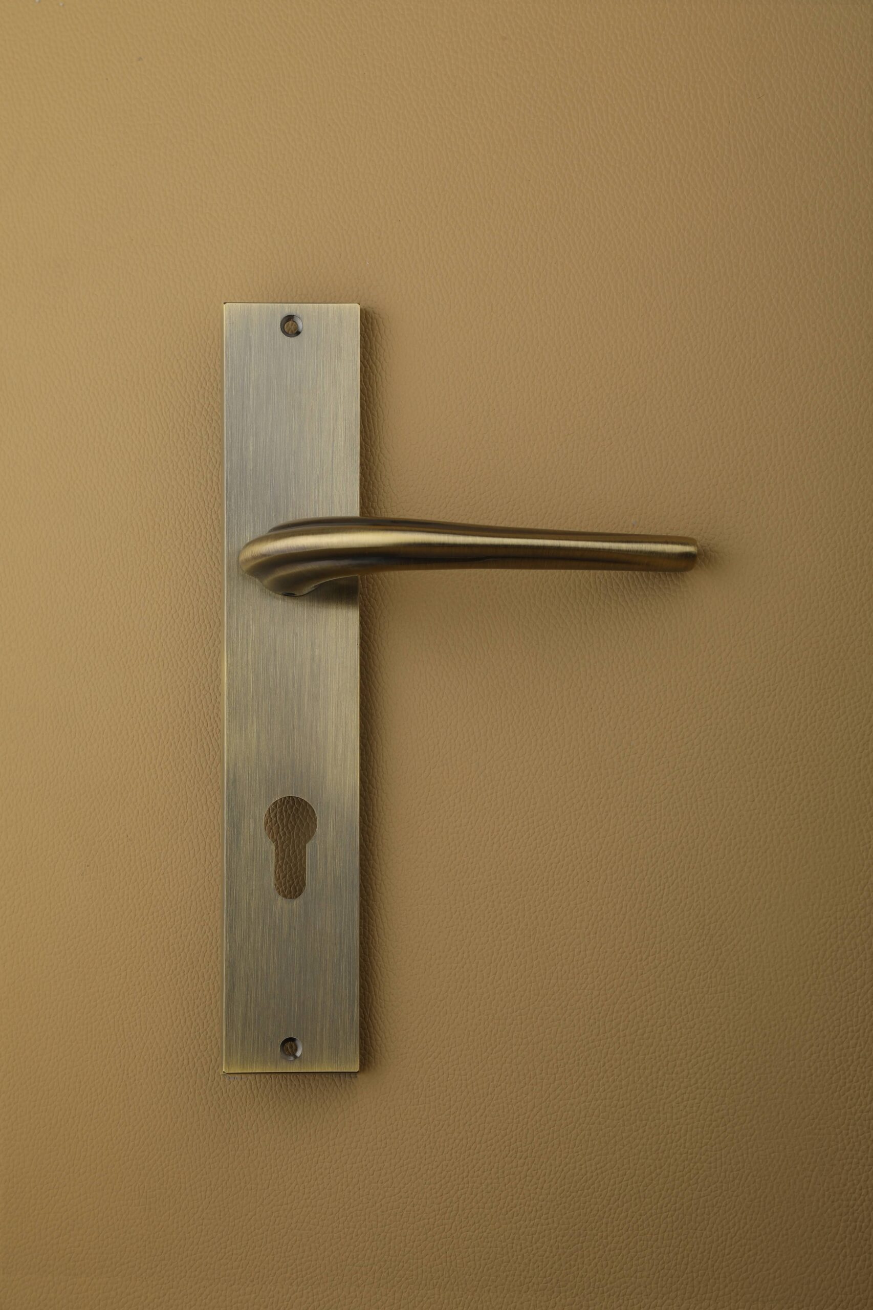 Brass Plate Handle